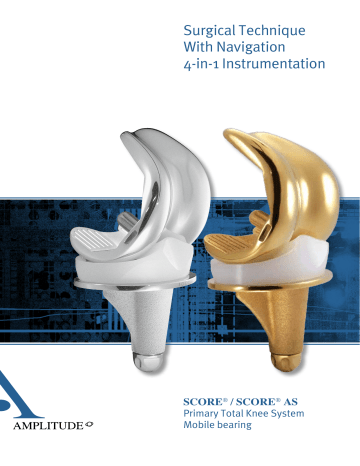 AMPLITUDE SCORE, SCORE AS Surgical Technique | Manualzz