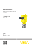VEGABAR 82 Betriebsanleitung - VEGA | Manualzz