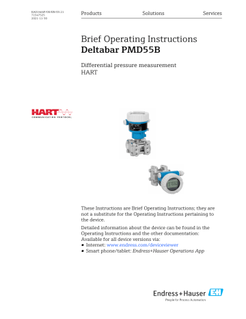 Endres+Hauser Deltabar PMD55B Short Instruction | Manualzz