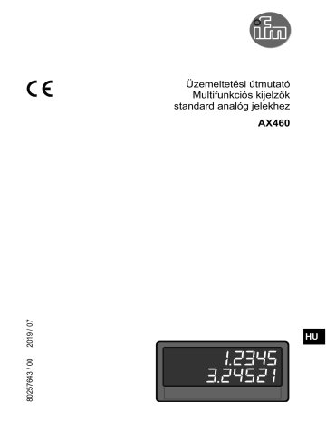 IFM DX2042 Multifunction display for monitoring analog standard signal ...