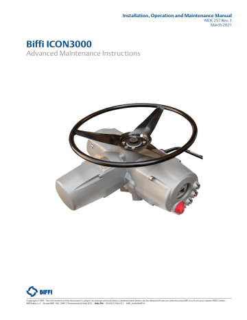 BIFFI ICON3000 Series Advanced Maintenance Instructions | Manualzz