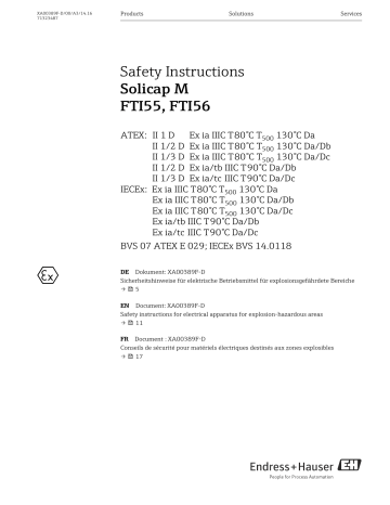 Endress+Hauser Solicap M FTI55 Safety Instructions | Manualzz