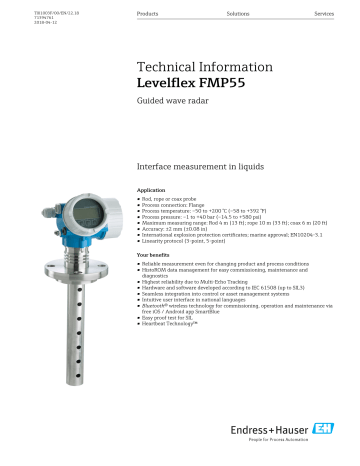 Endress+Hauser Levelflex FMP55 Technical Information | Manualzz