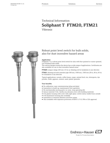 Endress+Hauser Soliphant T FTM21 Technical Information | Manualzz