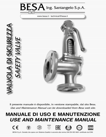BESA 281 Series, 282 Series Use And Maintenance Manual | Manualzz