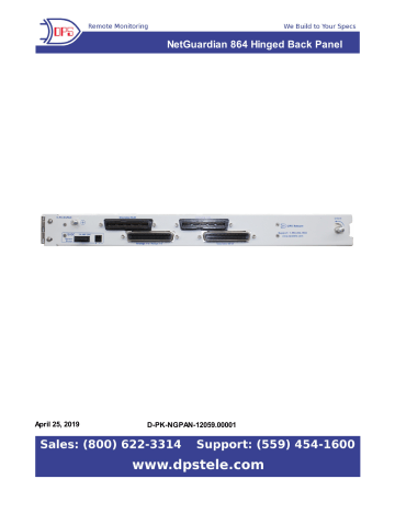 DPS NetGuardian 864 Quick Start Manual | Manualzz