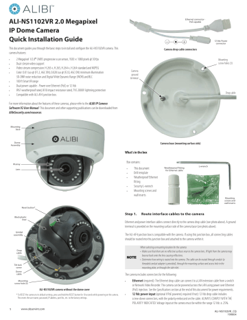 ALIBI ALI-NS1102VR Quick Installation Manual | Manualzz