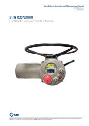 BIFFI ICON3000 Series - Manual, Installation, Use and Maintenance ...