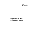 Calix GM1028, GS2028E, GigaSpire BLAST Installation Manual | Manualzz