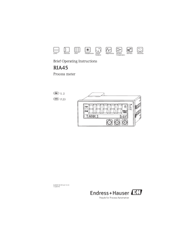 Endress+Hauser ria45 Brief Operating Instructions | Manualzz