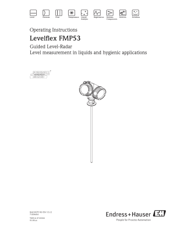Endress+Hauser Levelflex FMP53 Operating Instructions Manual | Manualzz