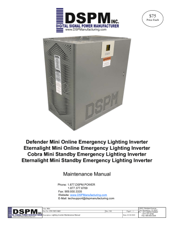 DSPM Defender Mini Manual - Download & View Online | Manualzz