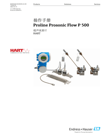 Endres+Hauser BA Proline Prosonic Flow P 500 取扱説明書 | Manualzz