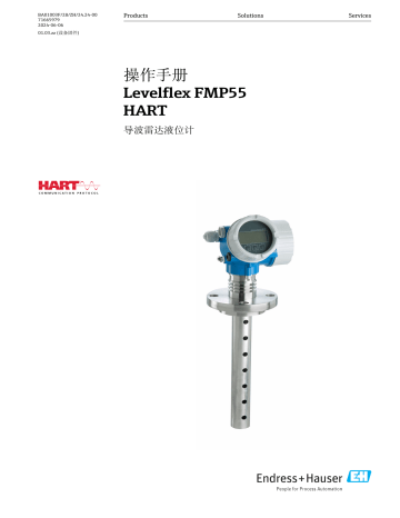 Endres+Hauser BA Levelflex FMP55 HART 取扱説明書 | Manualzz