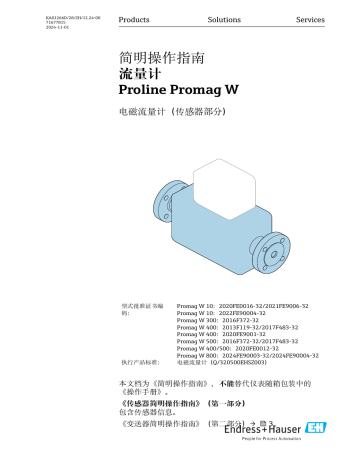 Endres+Hauser KA Flowmeter Proline Promag W quick guide | Manualzz